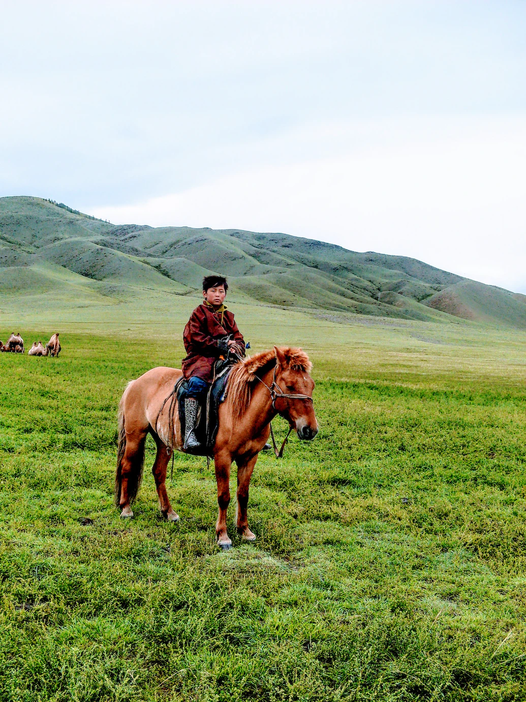 High-Level Meeting on Mongolia's Sustainable and Green Development - UN ...