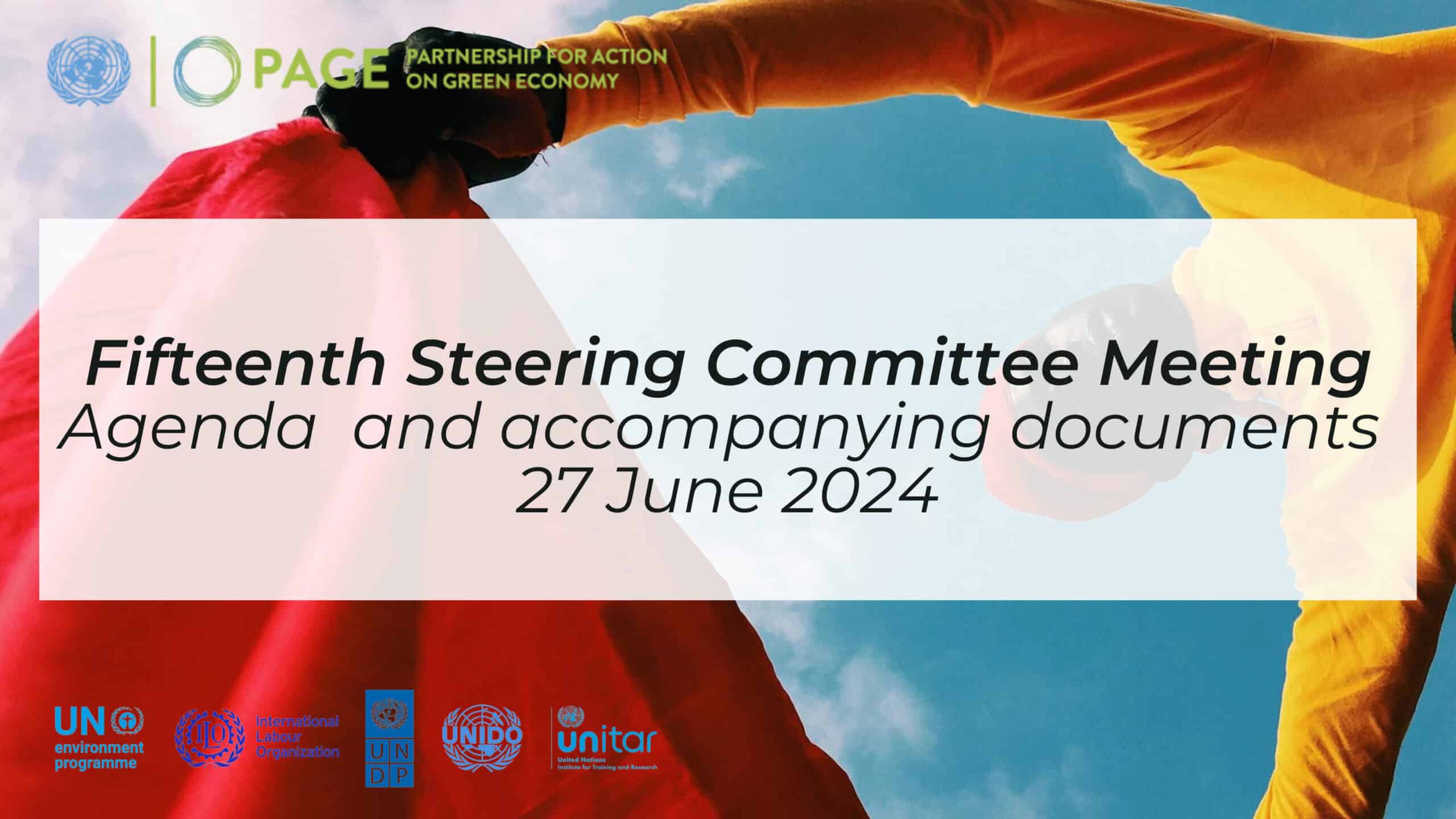 Sixteenth Steering Committee Meeting - UN PAGE - Partnership for Action ...
