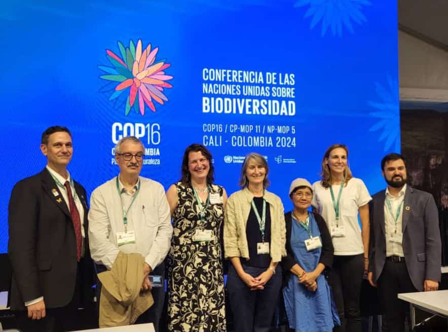 Exploring Nature-positive Solutions | PAGE at COP16 - UN PAGE ...