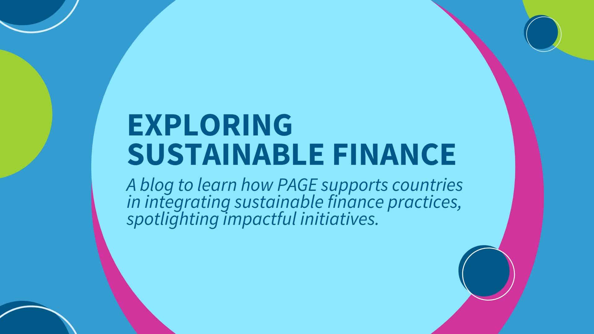 Exploring Sustainable Finance with PAGE - UN PAGE - Partnership for ...