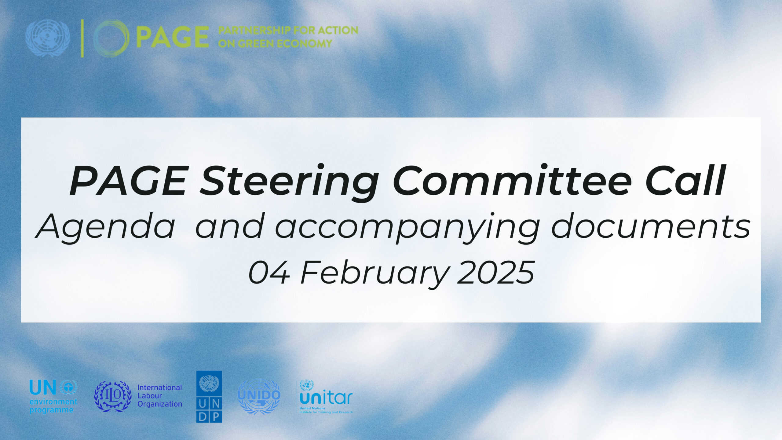 PAGE Steering Committee Call - UN PAGE - Partnership for Action on ...