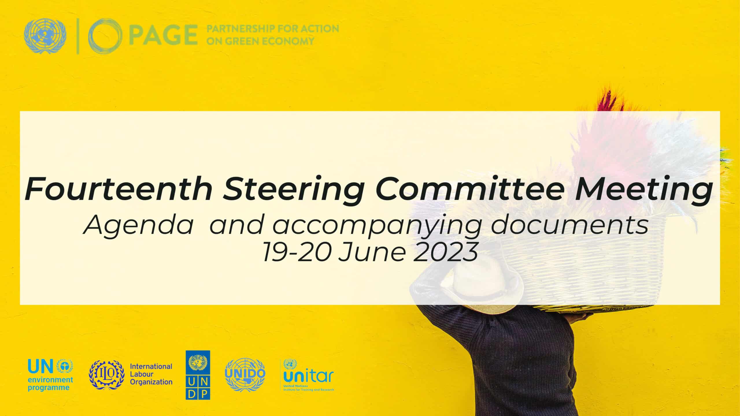 Fourteenth Steering Committee Meeting - UN PAGE - Partnership for ...